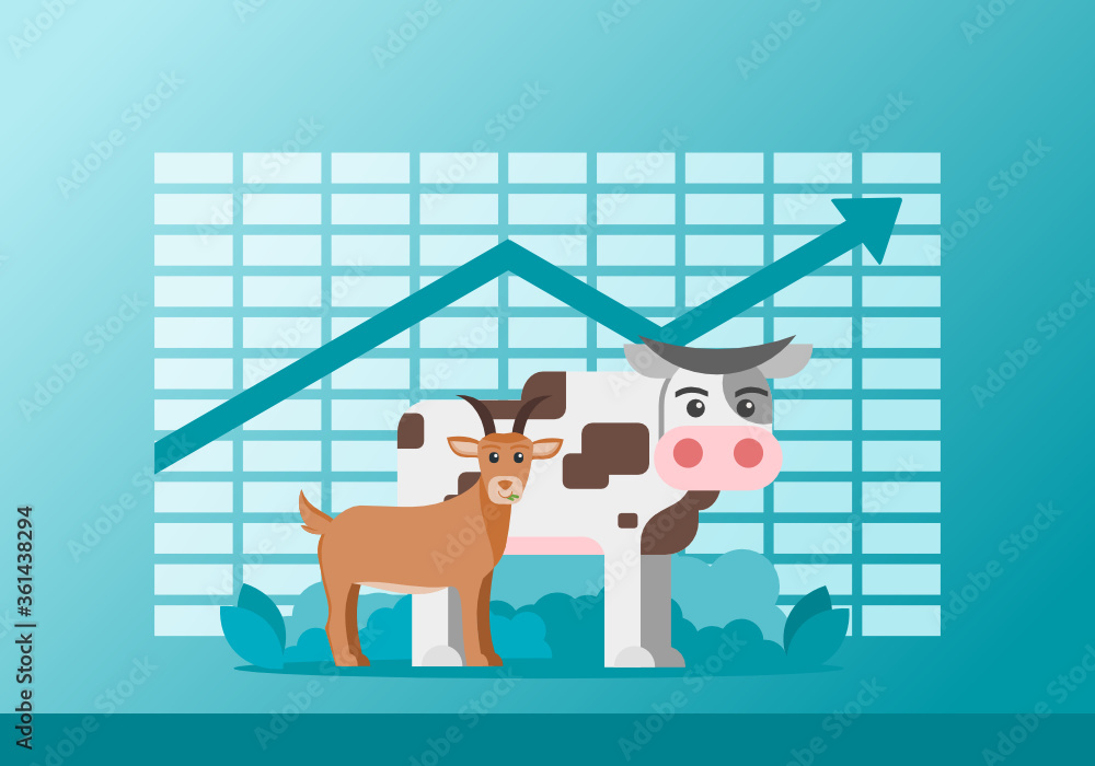 Live Feeder Cattle or Cow & Goat Price Value Stock Market Demand Rise ...