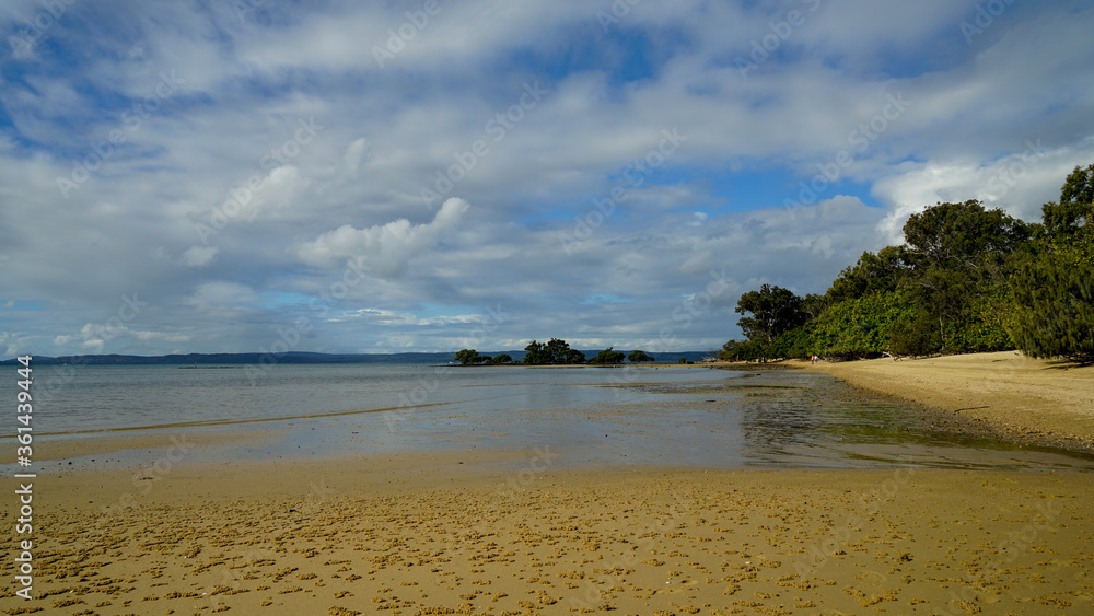 Sandy beach at low tide with mangroves in the mid ground and beautiful ...
