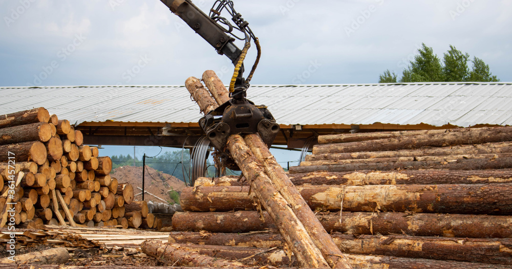 Logging, sawmill. Manipulator for loading wood. The loader of boards ...