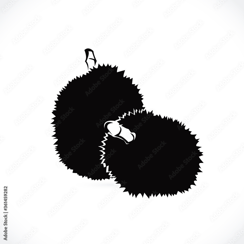 Vector of durian, logo and icon durian isolated on the white background ...