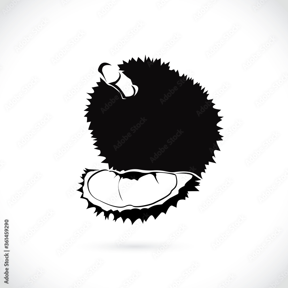 Vector of durian, logo and icon durian isolated on the white background ...