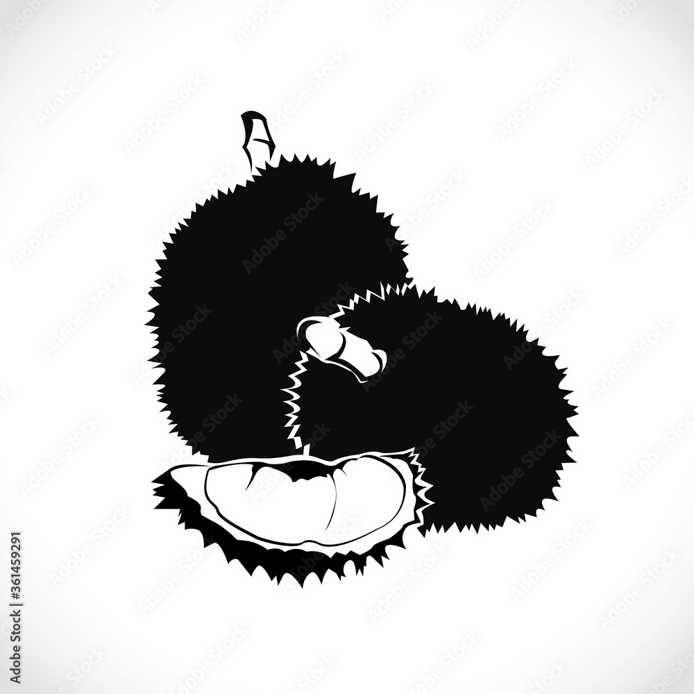 Vector of durian, logo and icon durian isolated on the white background ...