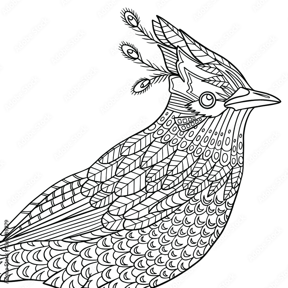 Fantasy bird with doodle and zentagle elements. Coloring page for adult ...