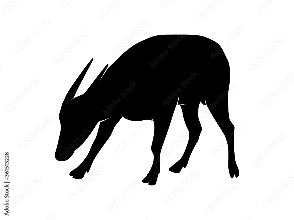 Isolated Vector Endemic Animal of Sulawesi. Anoa Silhouette on White ...