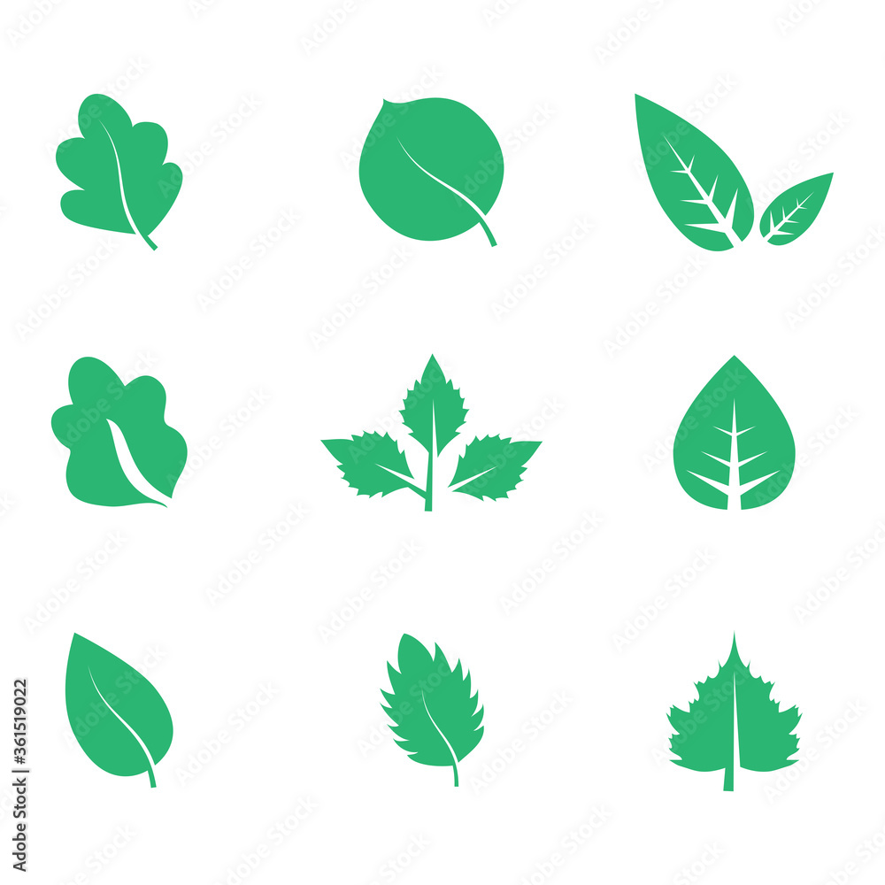 Abstract leaf icon set isolated on white background. Collection of leaf ...