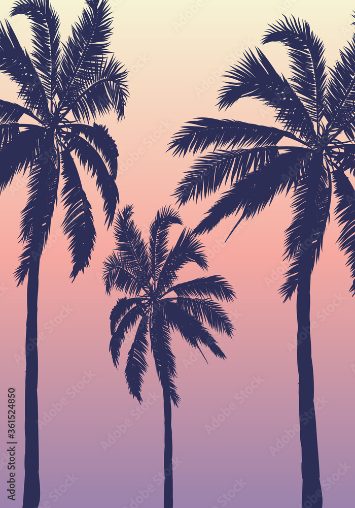 Summer tropical background with 3 palm trees sky and sunset, vector art ...