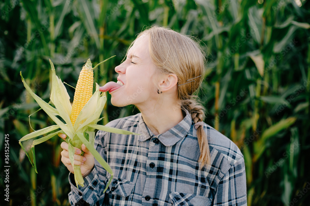 Beuatiful positive blonde girl in corn field with maze in hands. Girl ...