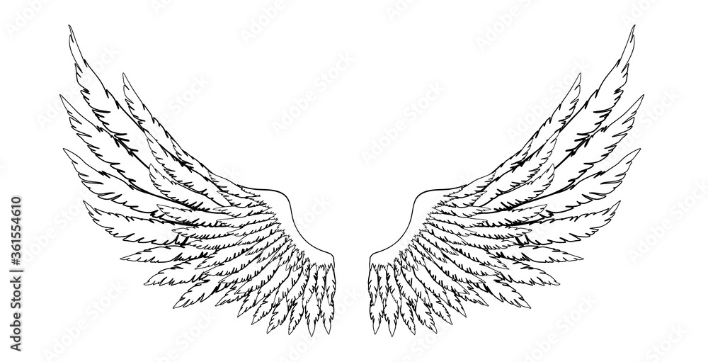 Black and white hand-drawn wings Stock Vector | Adobe Stock