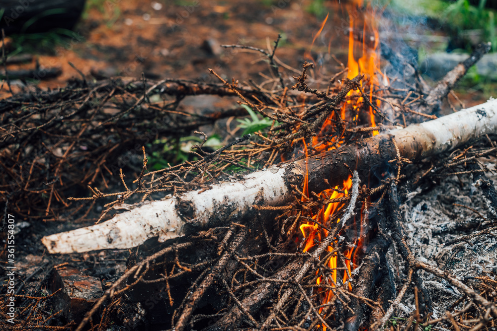 Burning branches and brushwood in fire close-up. Atmospheric warm ...