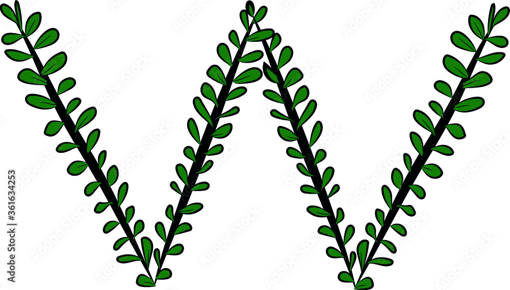 Vector image. Hand-drawn brush letter W. Part of the English alphabet ...