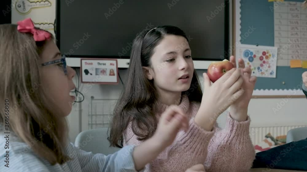 Pupils in a classroom during break time eating an apple Stock ビデオ ...