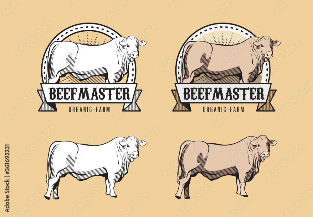 beef master cow logo vintage designed Stock Vector | Adobe Stock