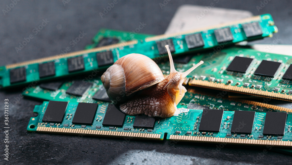 Snail on the slats of RAM. Old obsolete memory. Slow RAM. Computer ...