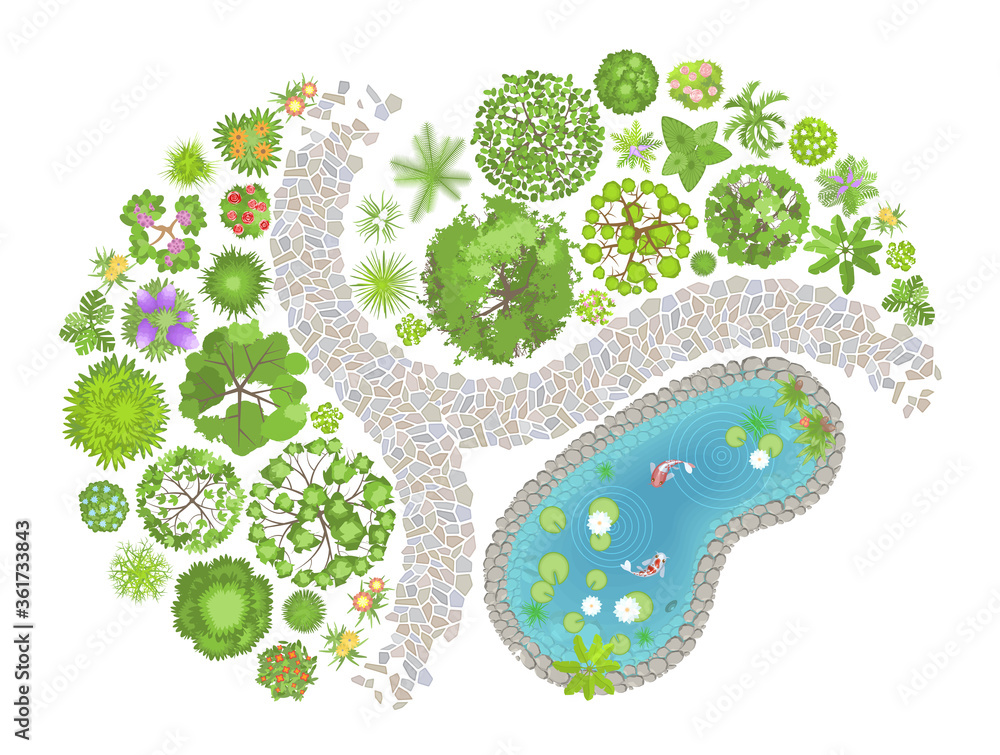 Vector illustration. Landscape design. Top view. Pond, path, trees and ...