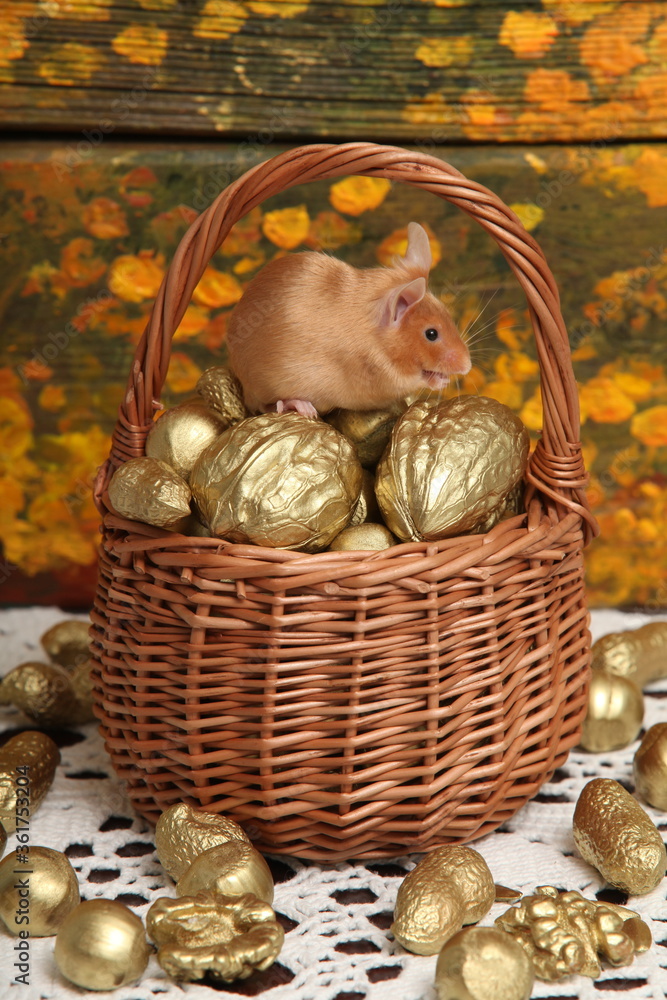 Foto de Cute gold mouse and decorated golden nuts. Happy New Year ...