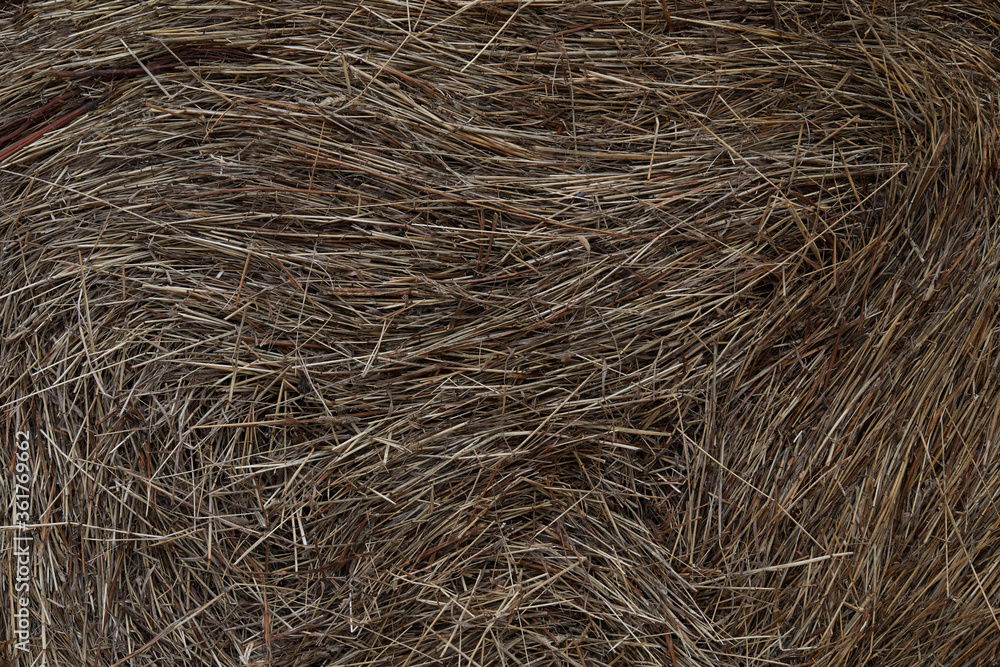 Rolled hay pattern. Dry straw grass hay background texture after havest ...
