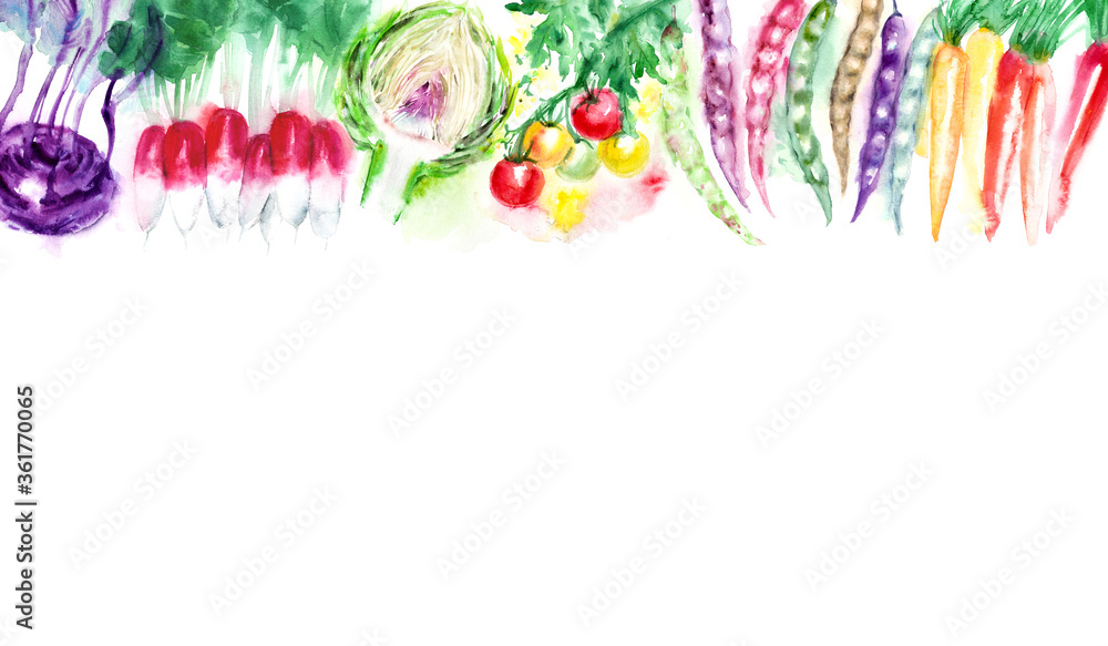 Hand drawn watercolor summer vegetable background Stock Illustration ...