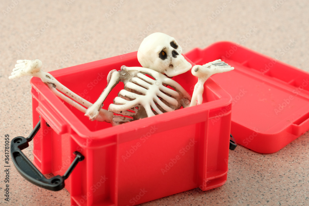 bones and parts of the human skeleton are stacked in a red box ภาพถ่าย ...