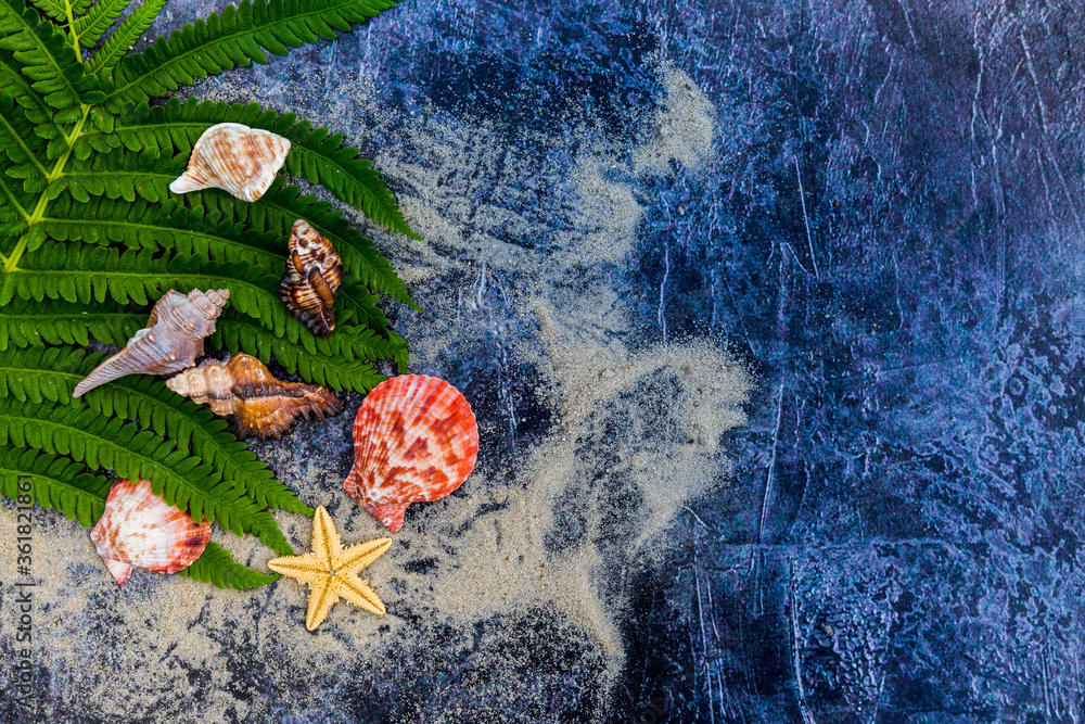 Ocean shells on a dark blue abstract background with a palm branch and ...