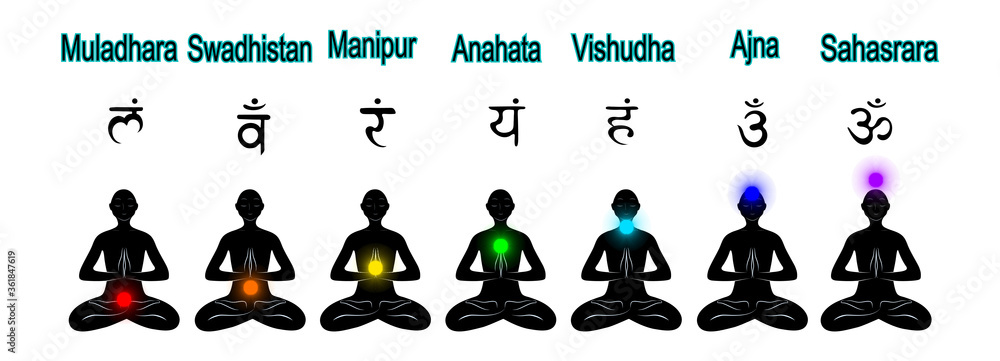 Chakra system - Muladhara, Svadhisthana, Manipura, Anahata, Vishuddha ...
