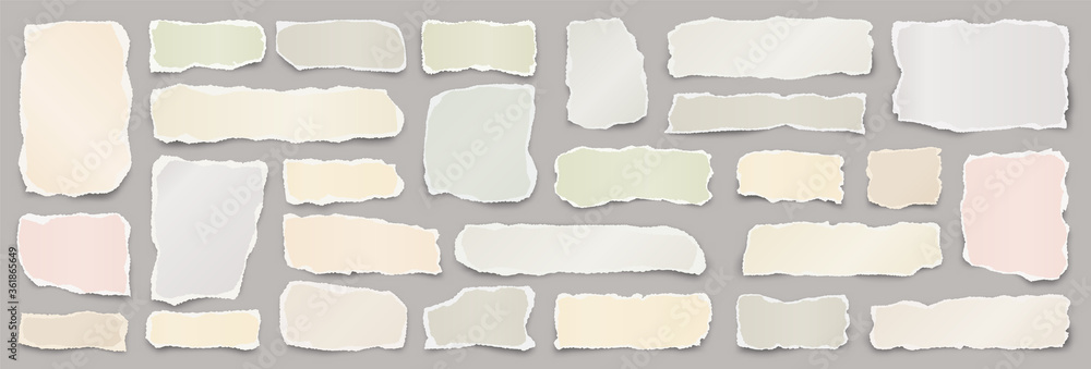 Ripped paper strips. Realistic crumpled paper scraps with torn edges ...