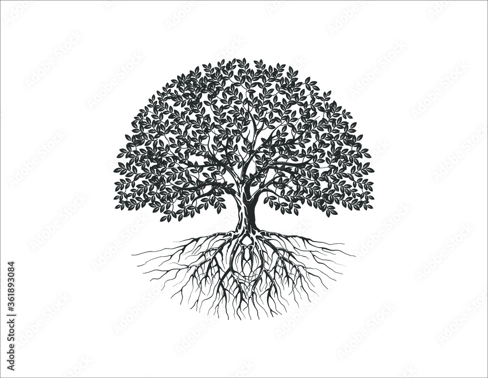 Tree Silhouette Roots Vector