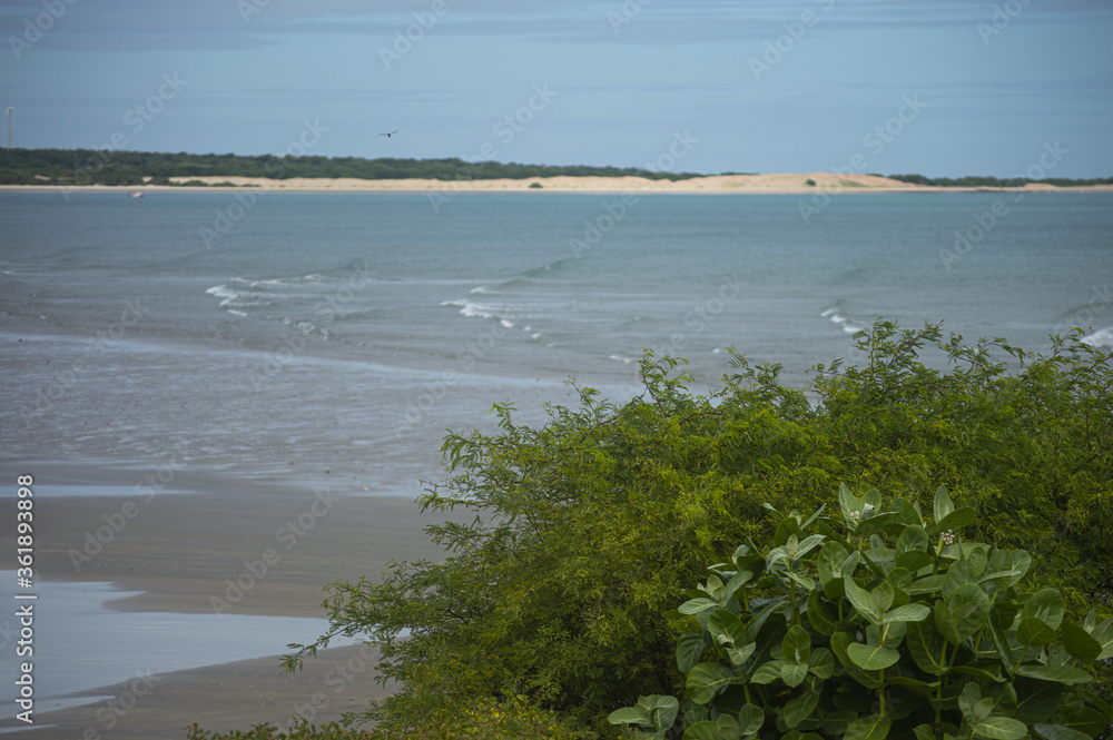 Farm, Beach, Nature, Animals, Flora, Fauna, Street Art, Boats and etc ...