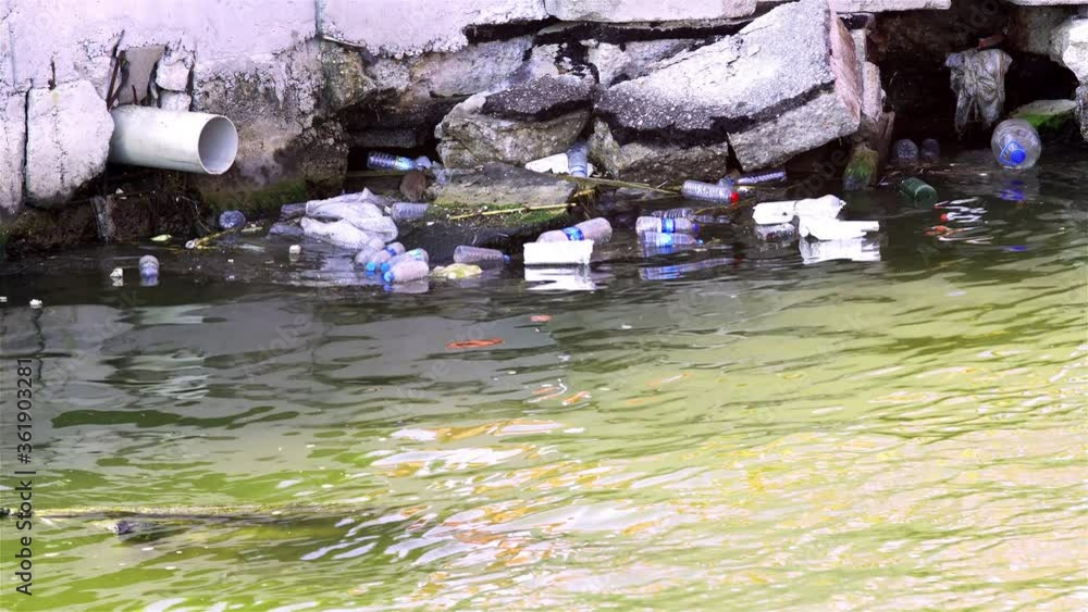 Plastic litter in the water channel and the Rat. Trash And Garbage ...