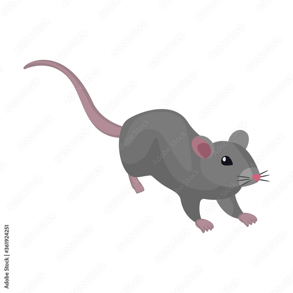 Mouse vector icon.Cartoon vector icon isolated on white background ...