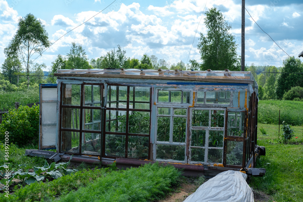 Greenhouse in the garden of old glass window frames, on the background ...