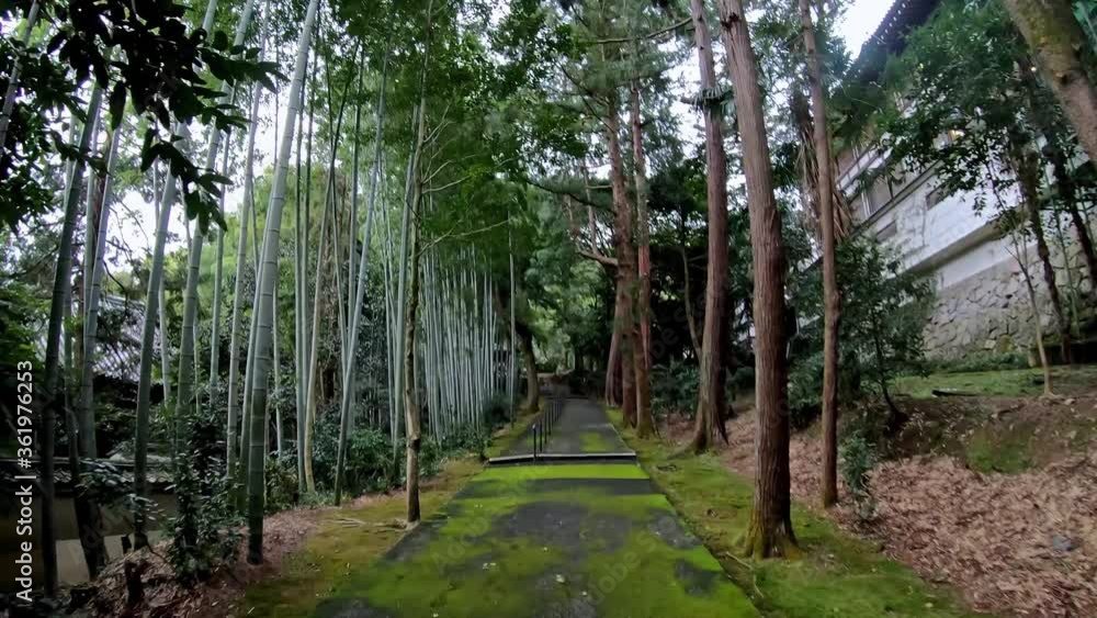 Slow motion video of walking along alley to Mausoleum of Emperor ...