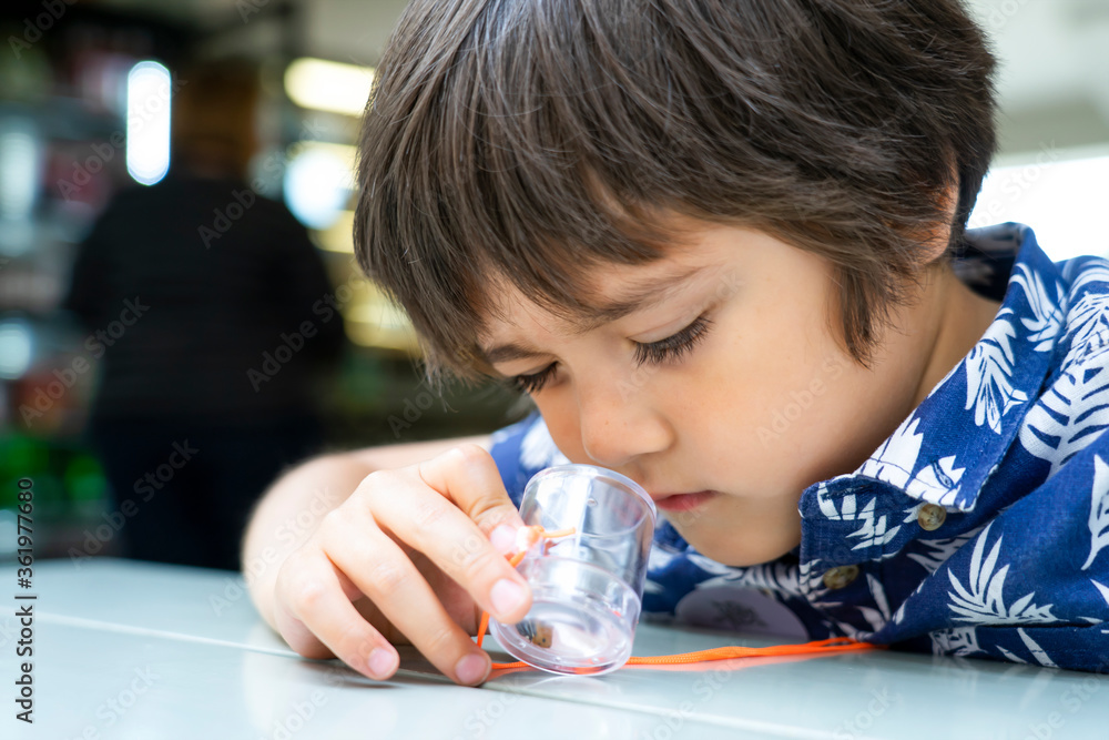 Portrait of curious kid boy looking at lady bug crawling in bug box ...