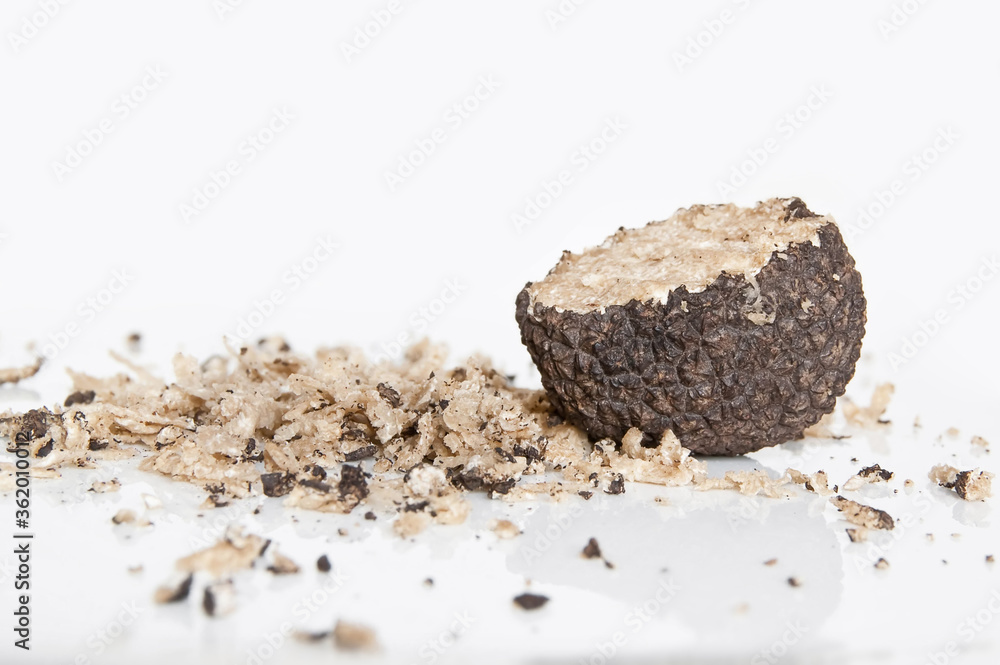 Close up expensive rare black Bulgarian truffle mushroom (Tuber ...