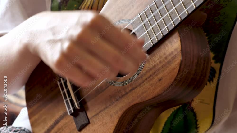 Close-up of a four-stringed musical instrument on which a musician ...
