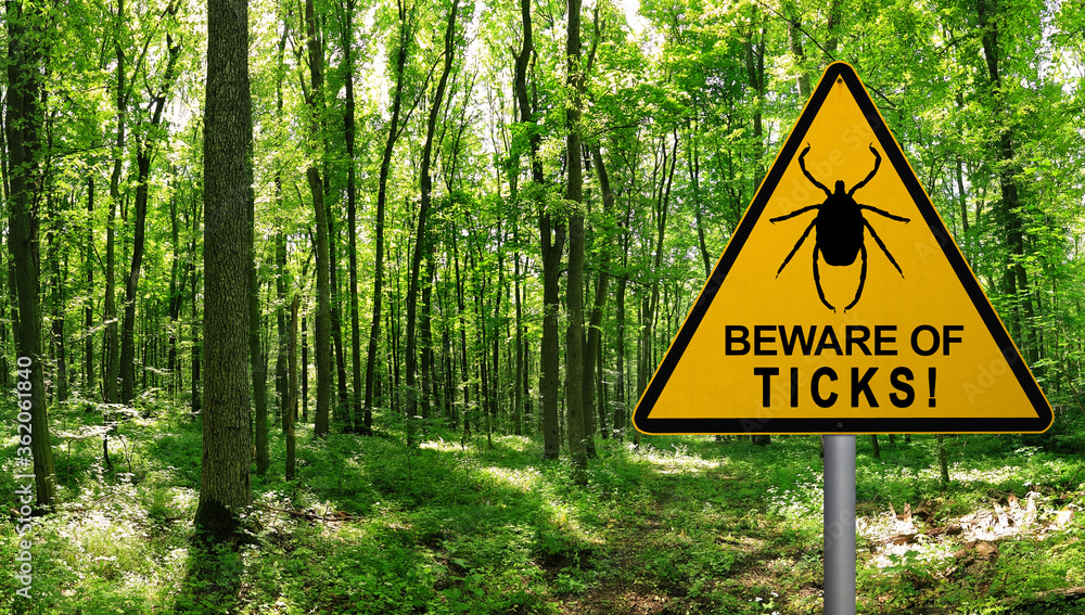 Warning sign beware of Ticks in infested area in the green forest Stock ...