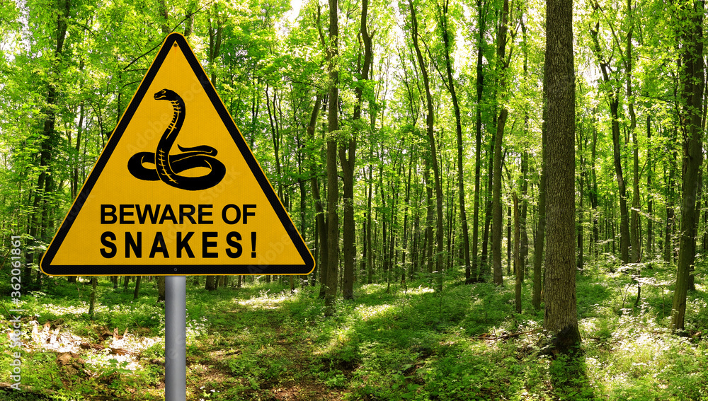 Warning sign beware of Snakes in infested area in the green forest ...