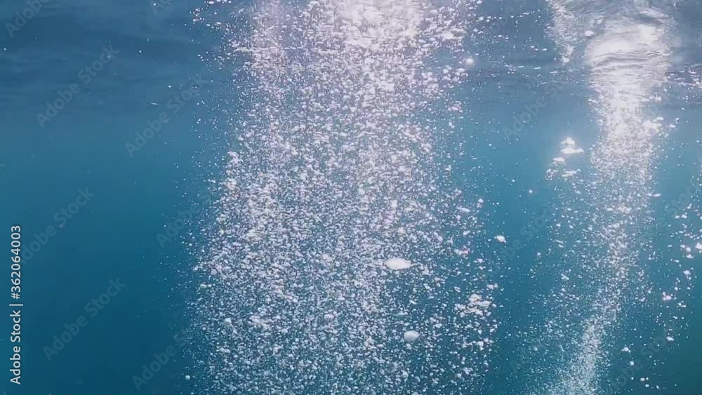 Bubbles rising to the surface in water. A rush of air bubbles surfacing ...