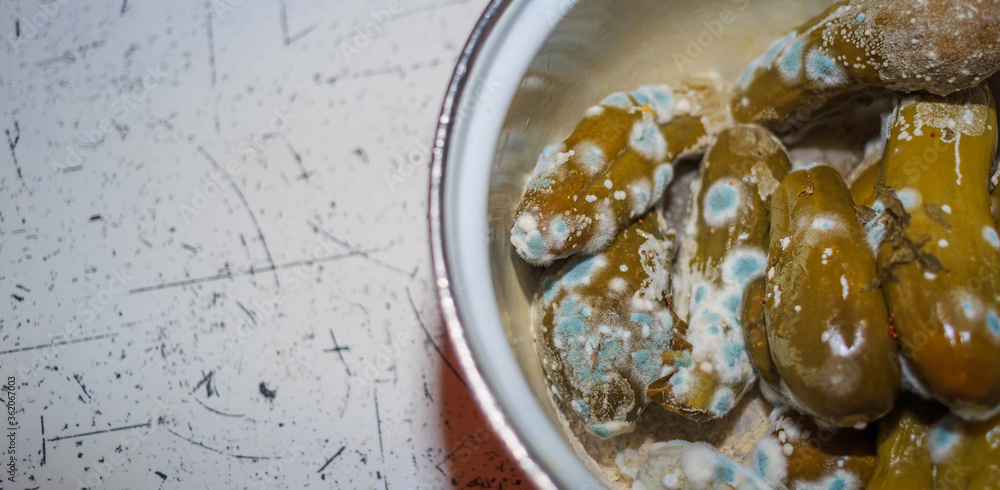 Rotten, spoiled green cucumbers covered with mold and mucus in a pan ...