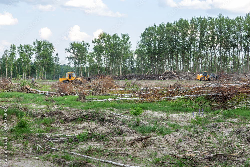 Area of illegal logging. Forests Deforestation humans are causing global warming. Deforestation ...