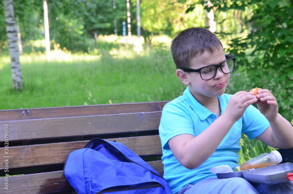 scholl boy Adorable little boy sitting on the bench with lunchbox in ...