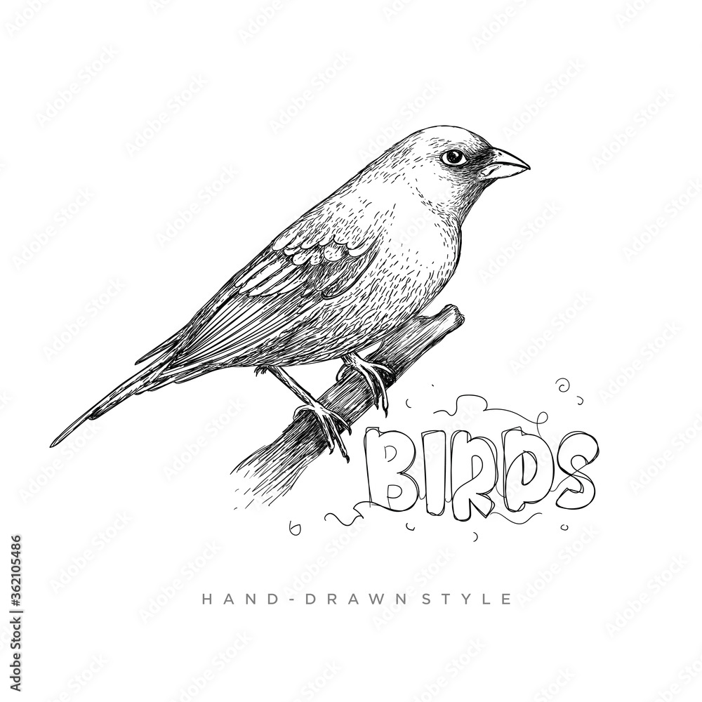 vector bird perch in an abstract hand-drawn style, illustration in ...