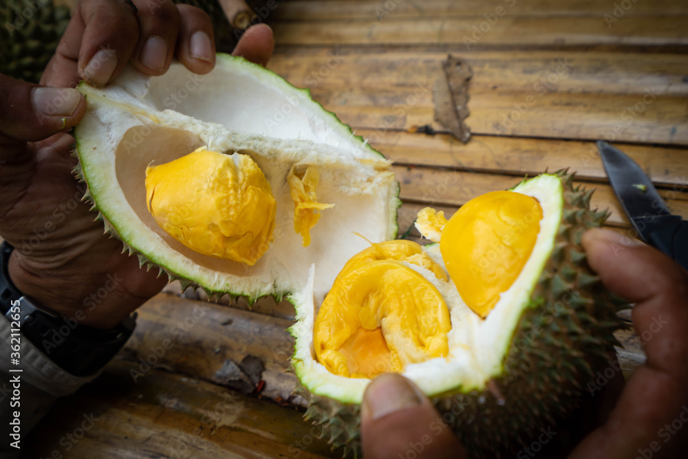 Durian, oval-shaped, large, hard-shelled lobes Hard thorns all over the ...