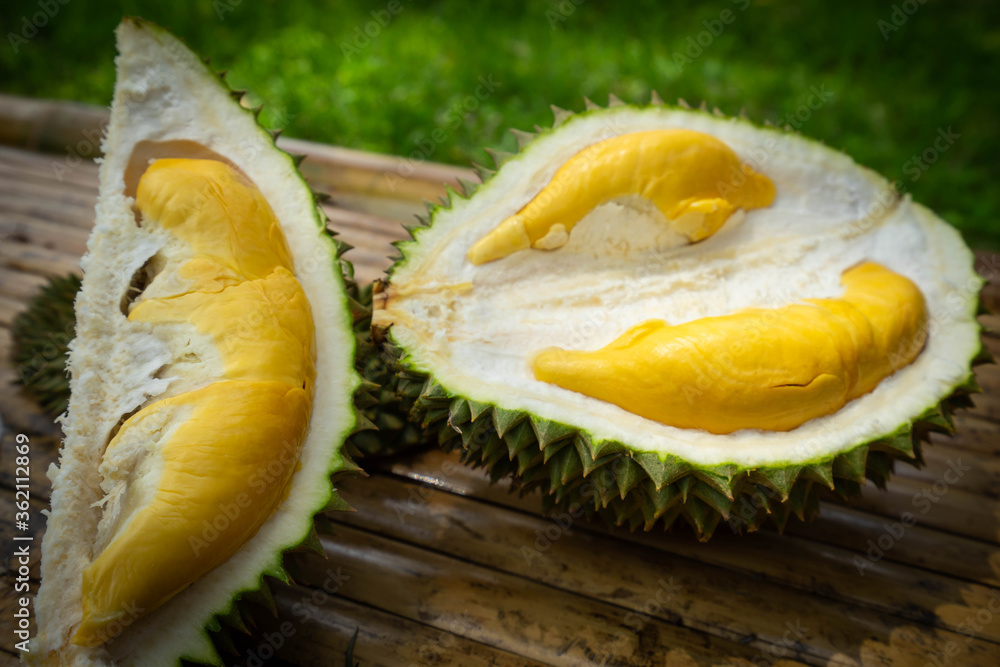 Durian, oval-shaped, large, hard-shelled lobes Hard thorns all over the ...