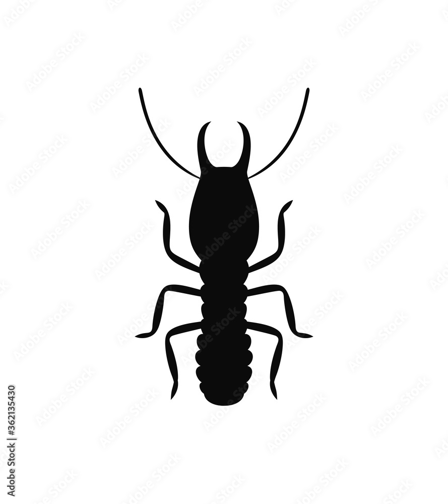 Termite silhouette. Isolated termite on white background Stock Vector ...