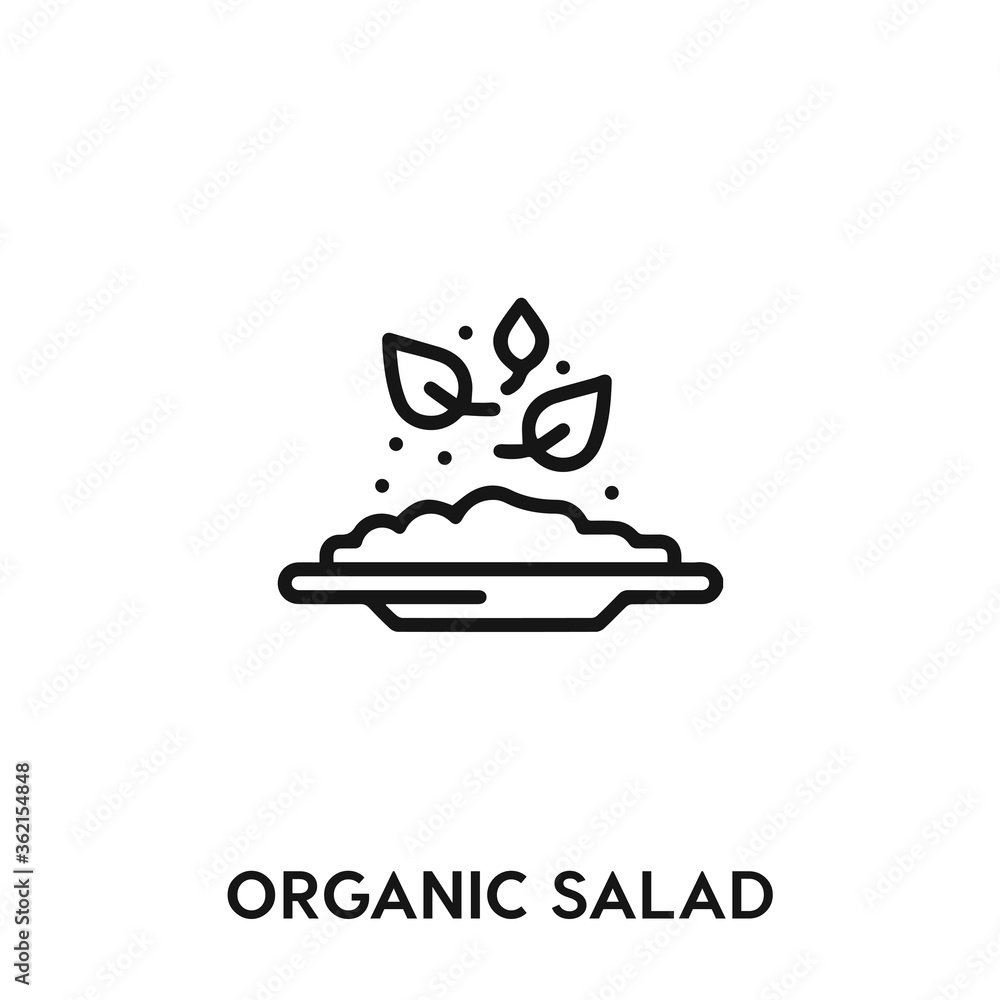 Salad Icon Vector