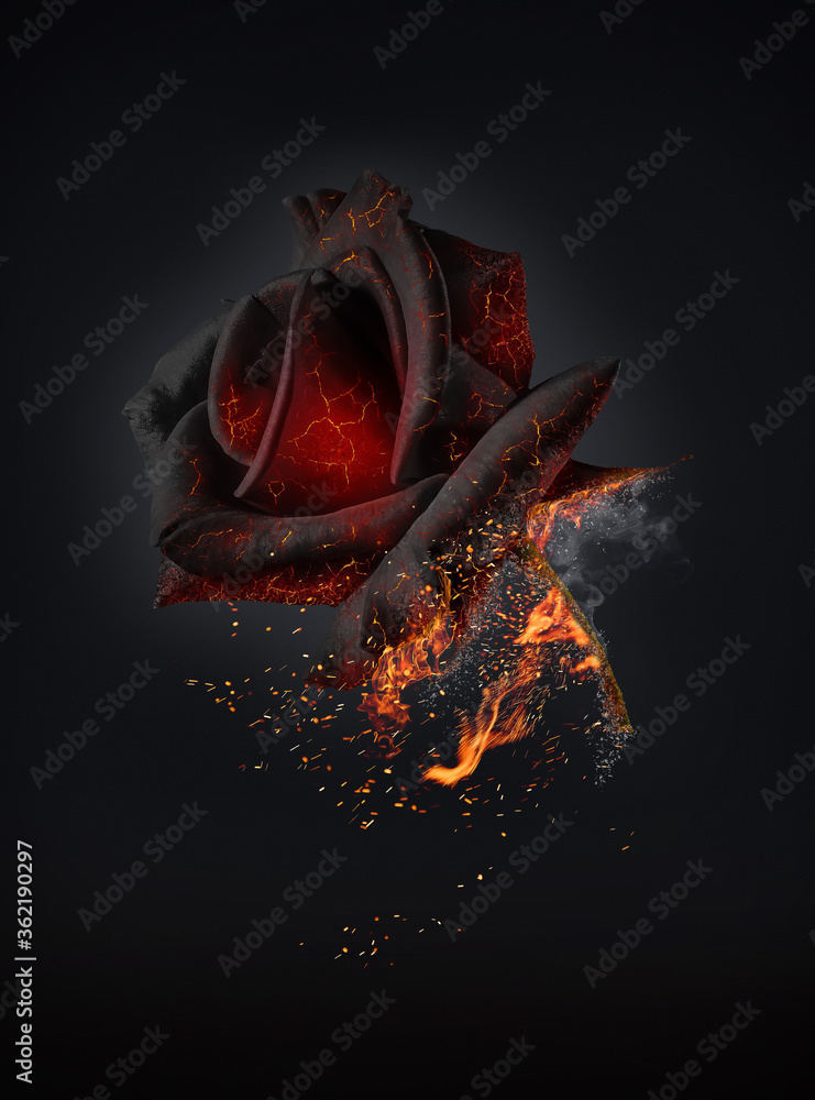 The red rose burns with love Stock Illustration | Adobe Stock