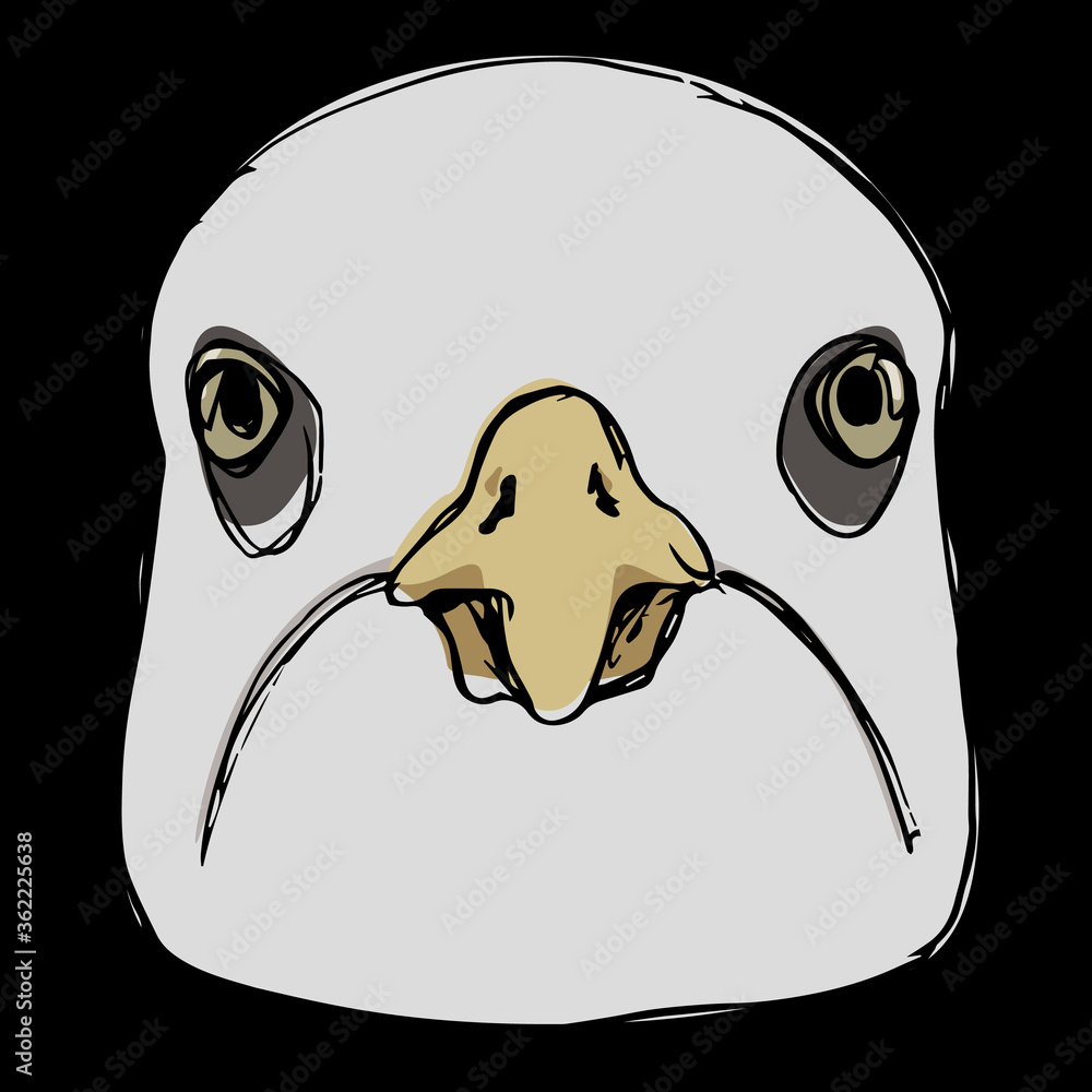 Stylized funny face of a seagull. Bird head. Sea gull portrait. Dove or ...