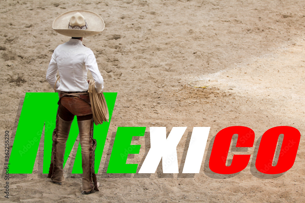 La palabra MEXICO escrita con los colores rojo, blanco y verde, sobre ...