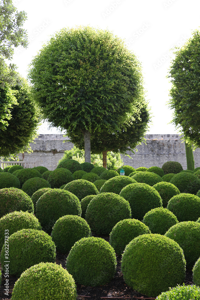 Foto de Gardens in castle grounds in Amboise, Loire Valley France with ...