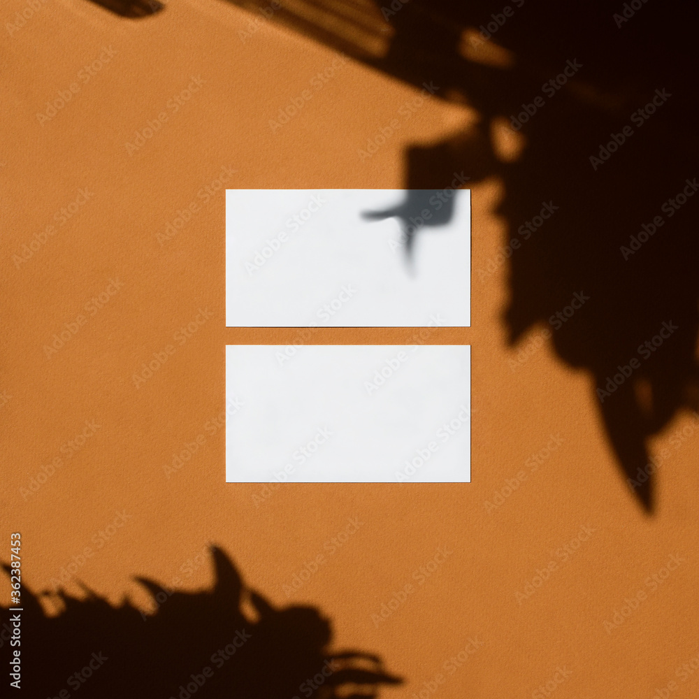 Empty white business cards mock up with leaves shadows on ginger ...
